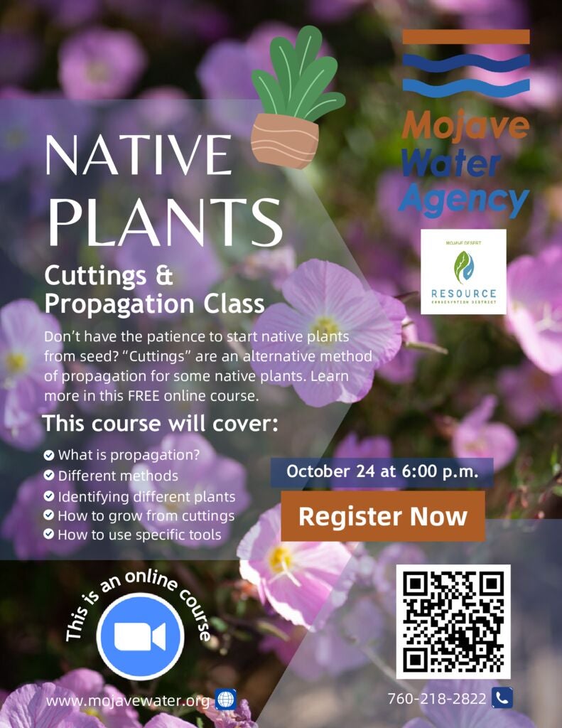 Native Plant Cuttings Propagations Class - Mojave Water Agency
